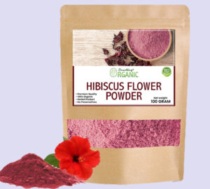 Hibiscus Powder for Hair & Skin - Something Organic
